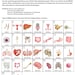 Human Anatomy, Human Body Bingo Game, Human Organs, Digital Downloads ...