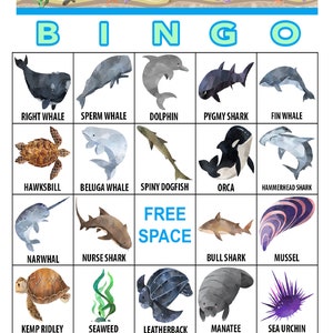Under the Sea Bingo Game Summer and Beach Fun Summer Fun - Etsy Canada