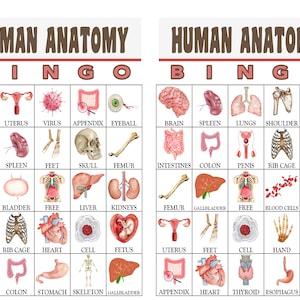 Human Anatomy, Human Body Bingo Game, Human Organs, Digital Downloads ...