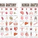 Human Anatomy, Human Body Bingo Game, Human Organs, Digital Downloads ...