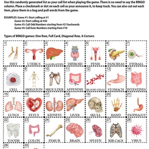 Human Anatomy, Human Body Bingo Game, Human Organs, Digital Downloads ...