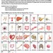 Human Anatomy, Human Body Bingo Game, Human Organs, Digital Downloads ...