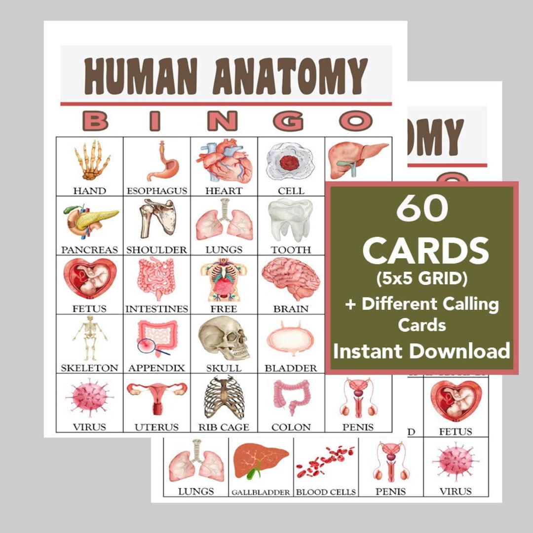 Human Anatomy, Human Body Bingo Game, Human Organs, Digital Downloads ...