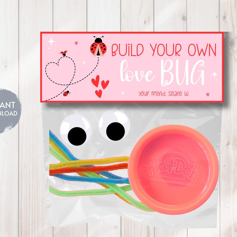 Be My Love Bug Valentine - Etsy UK