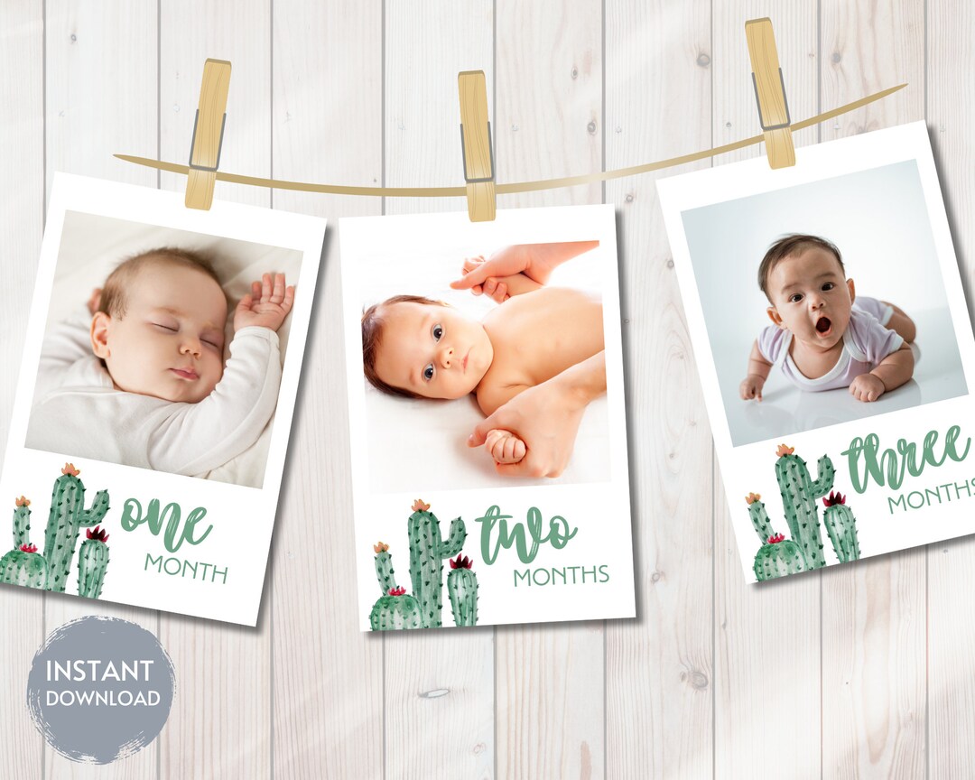 Cactus MILESTONE BANNER, Prickly Pair Birthday Theme, First Fiesta ...