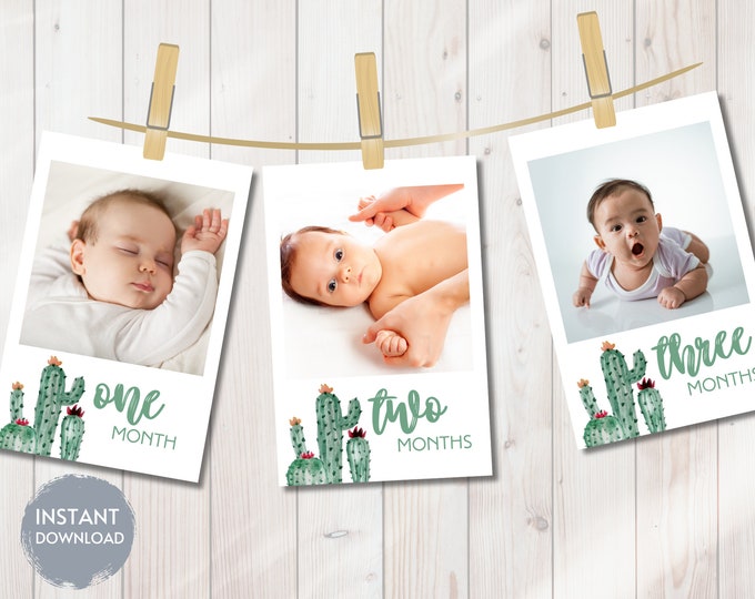 Cactus MILESTONE BANNER, Prickly Pair Birthday Theme, First Fiesta ...