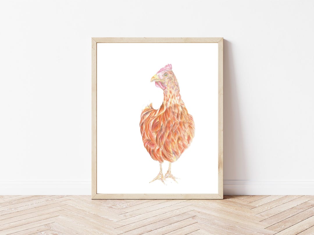 Beautiful Sandra Chicken Art Print | Animal Illustration Home & Kitchen ...