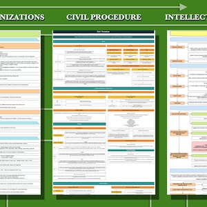 Civil Procedure Law School Outline Flowchart - Etsy