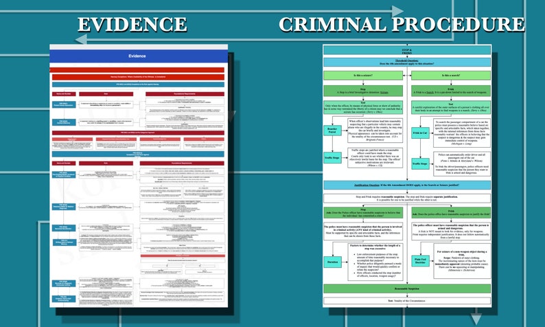 Criminal Law Flowchart Outline Bundle - Etsy