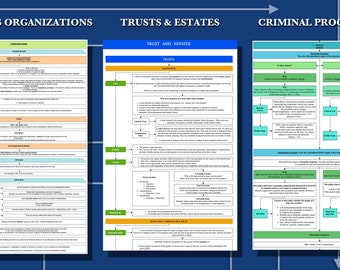 Civil Procedure Law School Outline Flowchart | Etsy