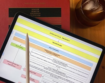 Intellectual Property Law School Outline Flowchart | Etsy