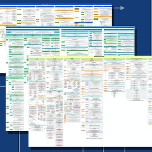 Law School Flowchart Outline Bundle - Etsy