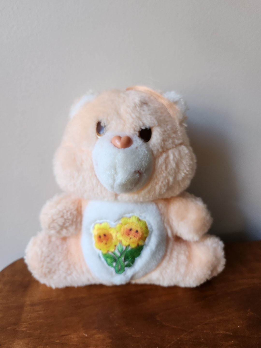 Vintage 1983 Friend Bear Carebear - Etsy