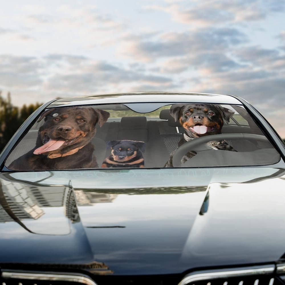 Custom Car Sunshade Personalized Car Lover Gift Funny Car Gift Sunshade ...