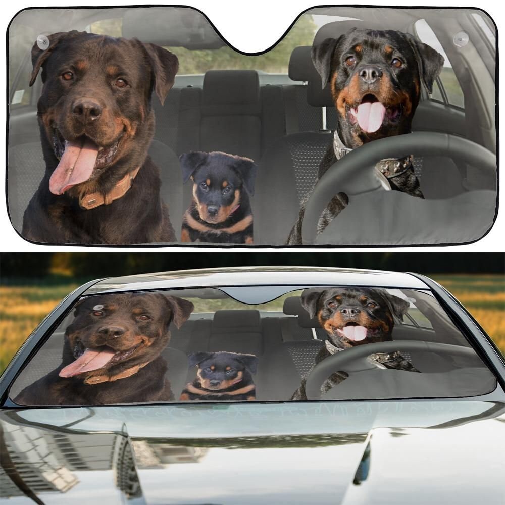 Custom Car Sunshade Personalized Car Lover Gift Funny Car Gift Sunshade ...