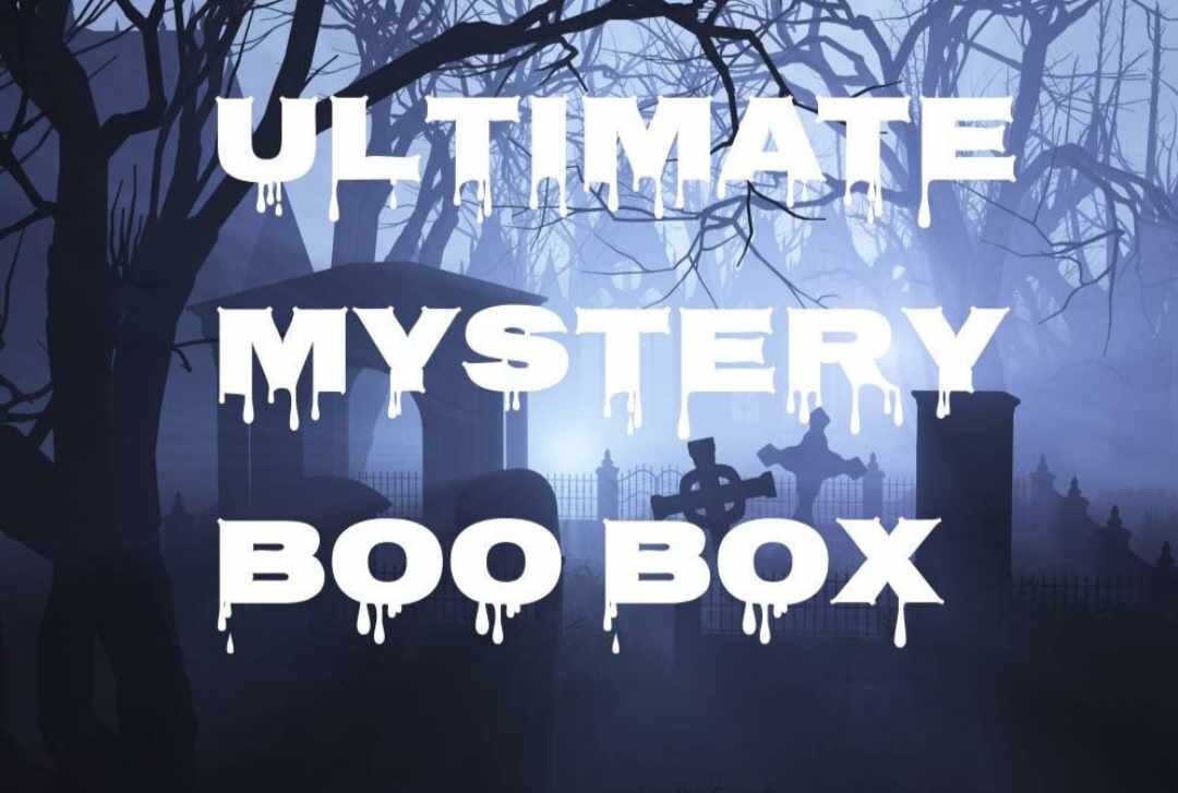 Ultimate Horror Mystery Boo Box - Etsy