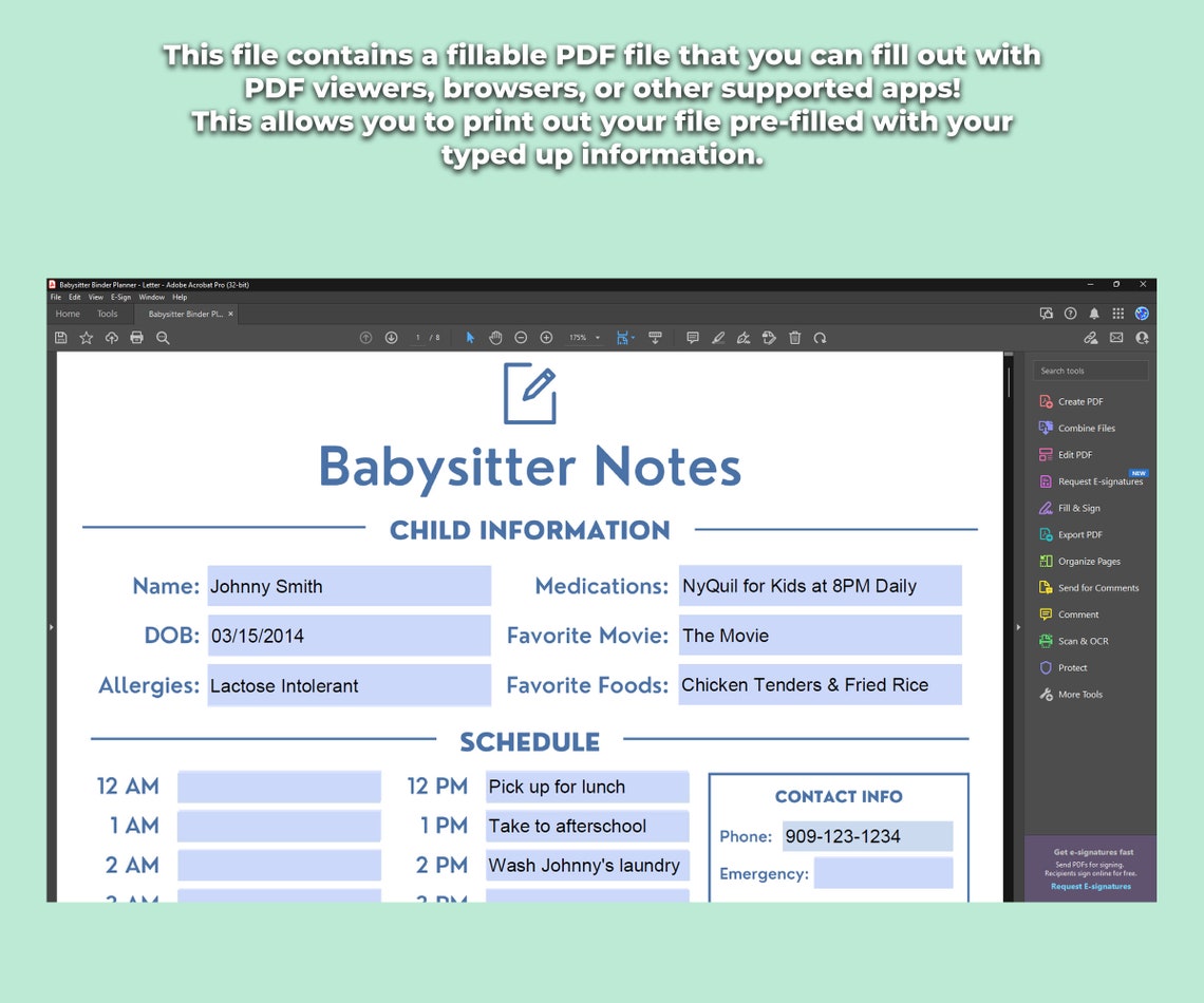 Babysitter Planner Bundle Printable - Babysitter & Nanny Notes, Guide ...