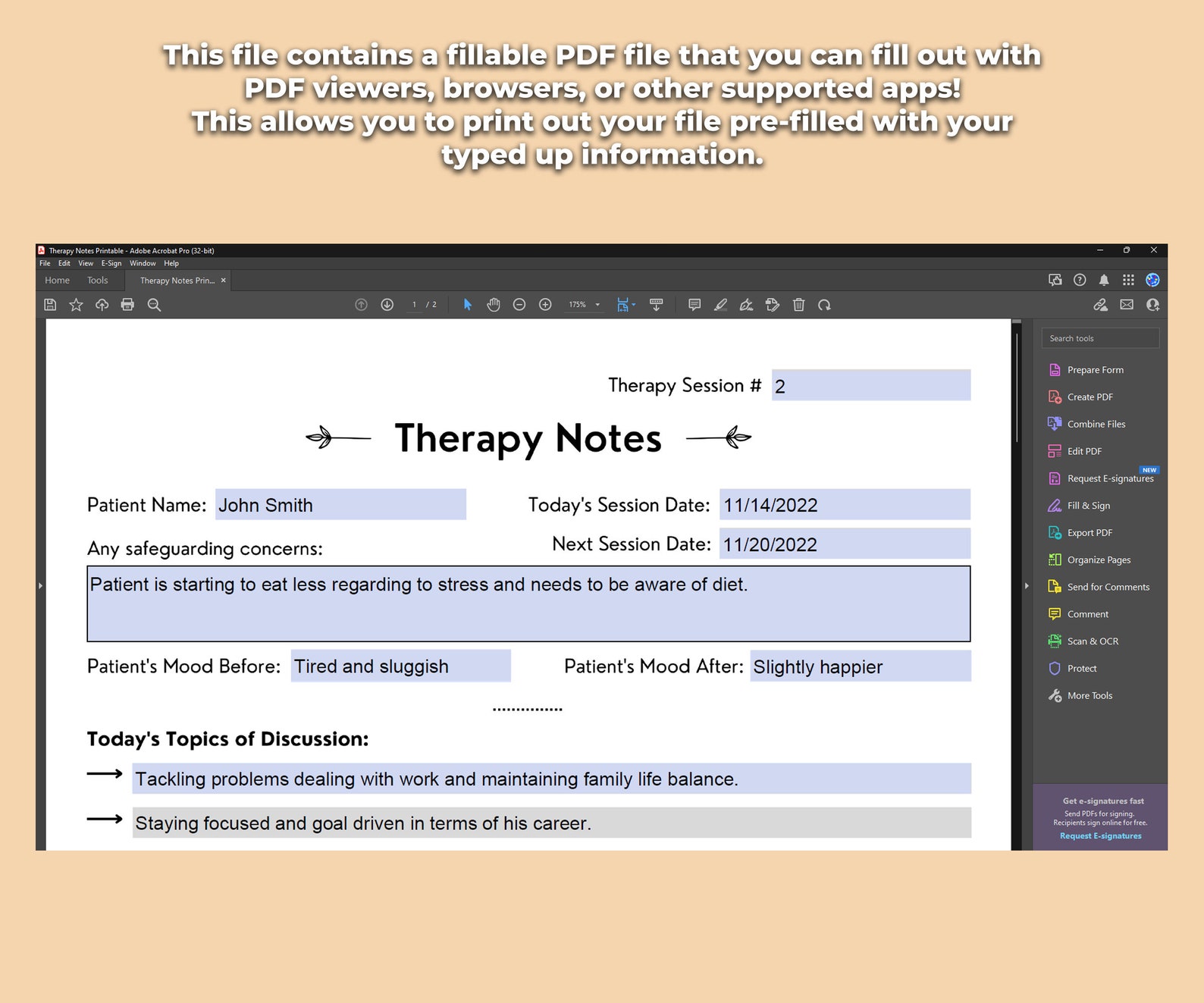 Therapy Progress Note Template Printable Fillable PDF for Therapist ...