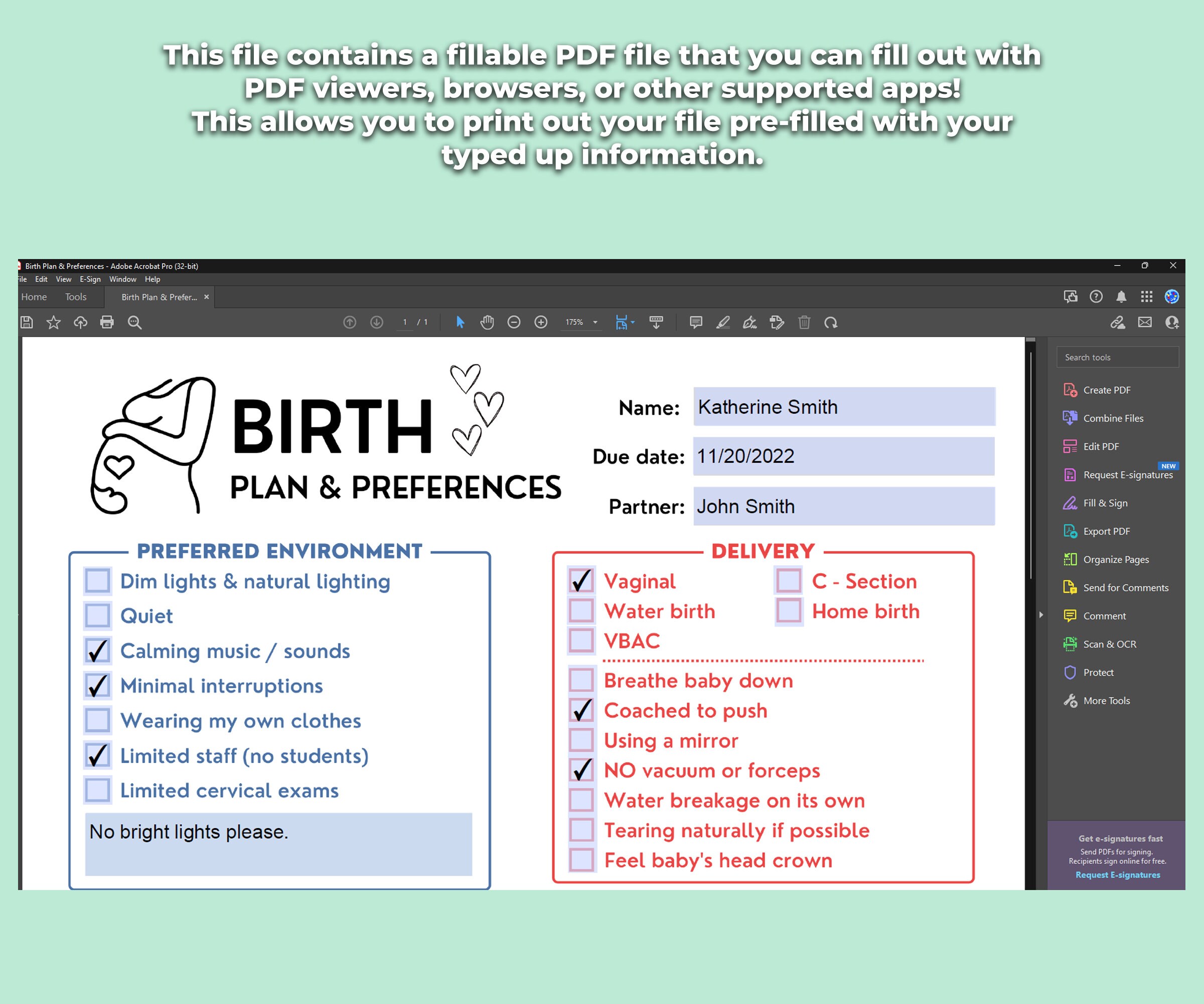 Birth Plan Template Editable PDF Printable, Birth Checklist - 1 & 2 ...