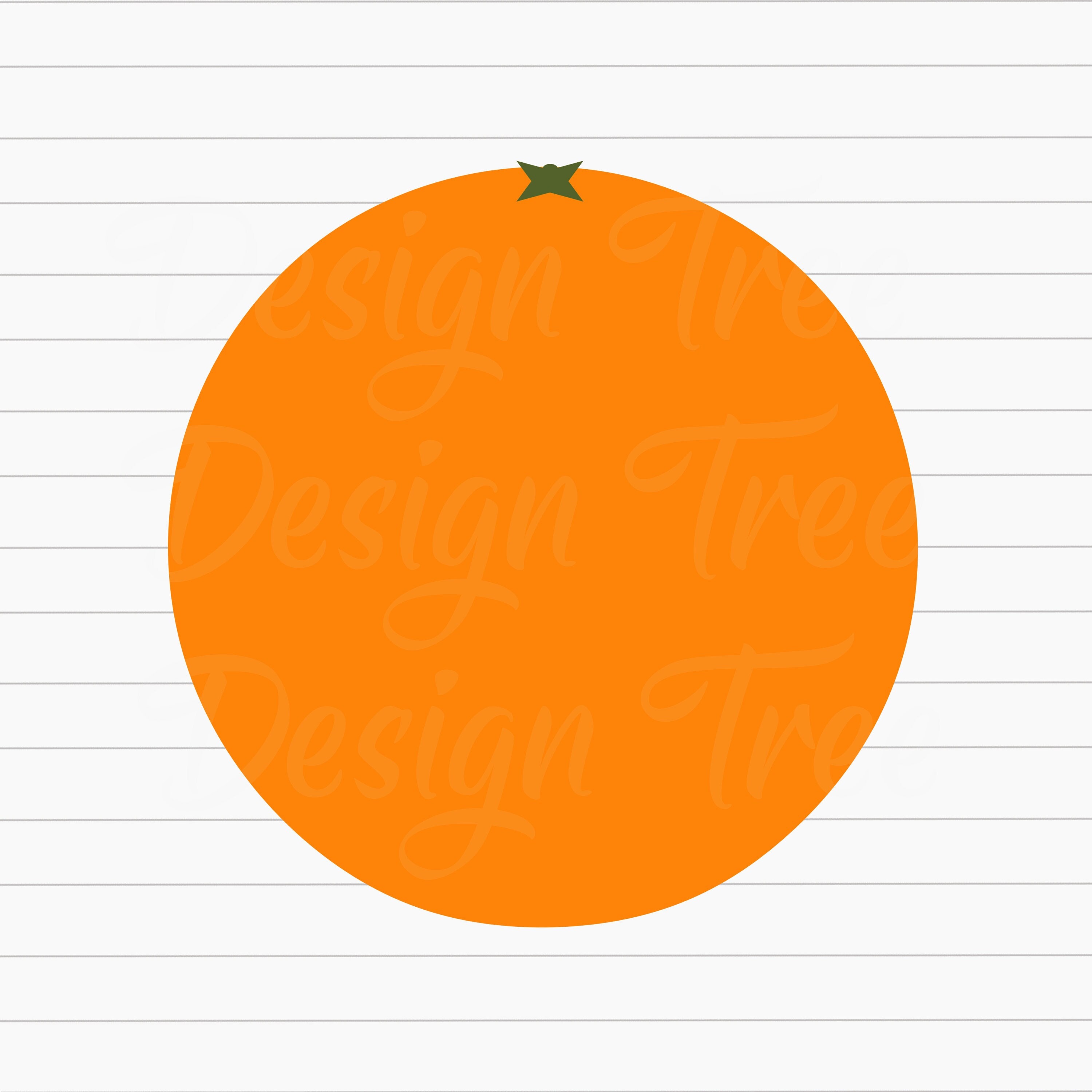 Orange SVG Orange Cut File Orange Clipart Orange Vector | Etsy