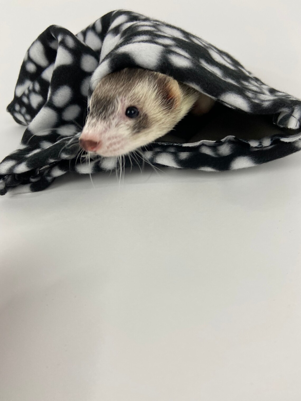 Ferret Pouch - Etsy