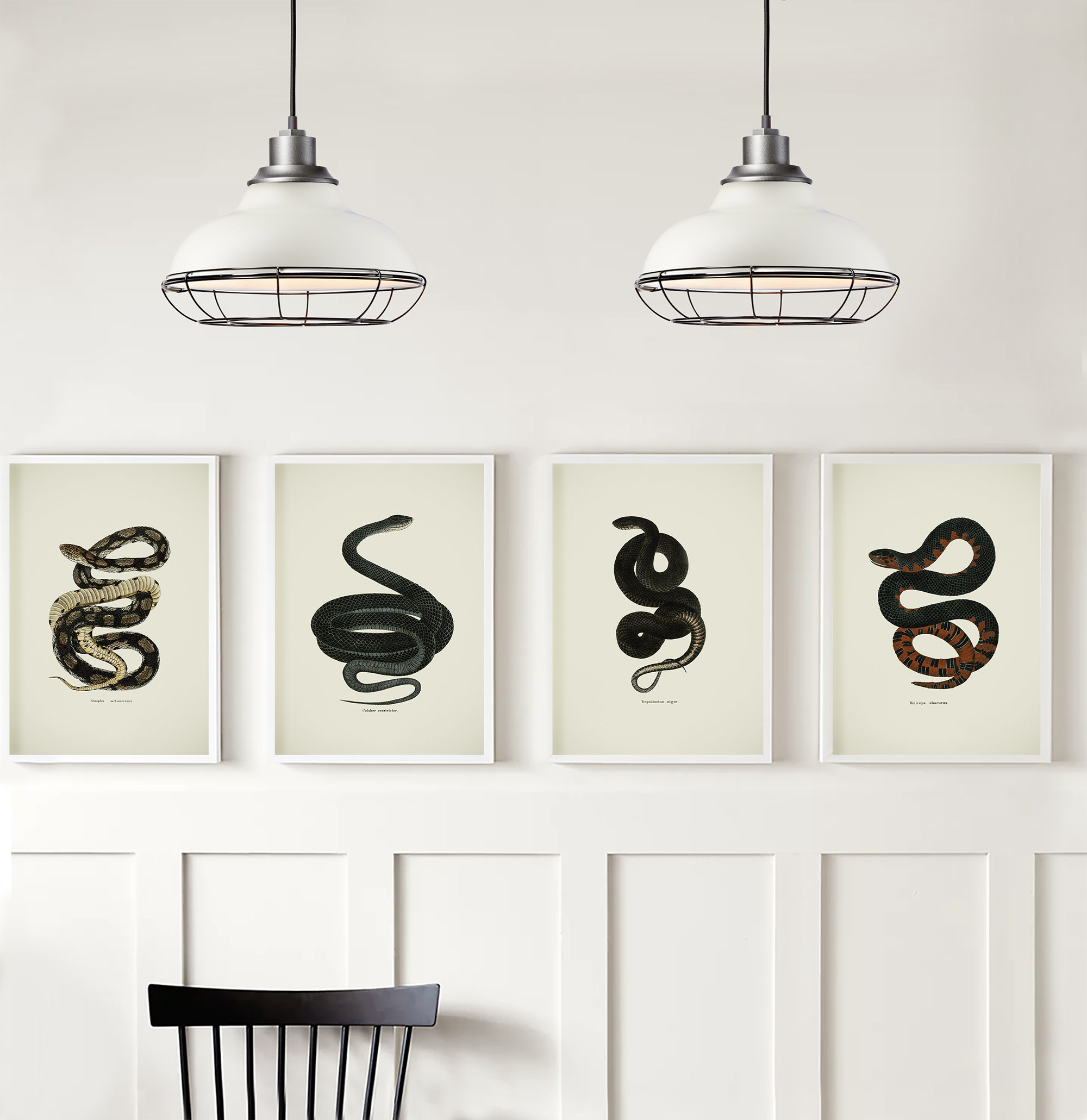 Vintage Snake Illustration Downloadable Art Print, Antique Drawing ...