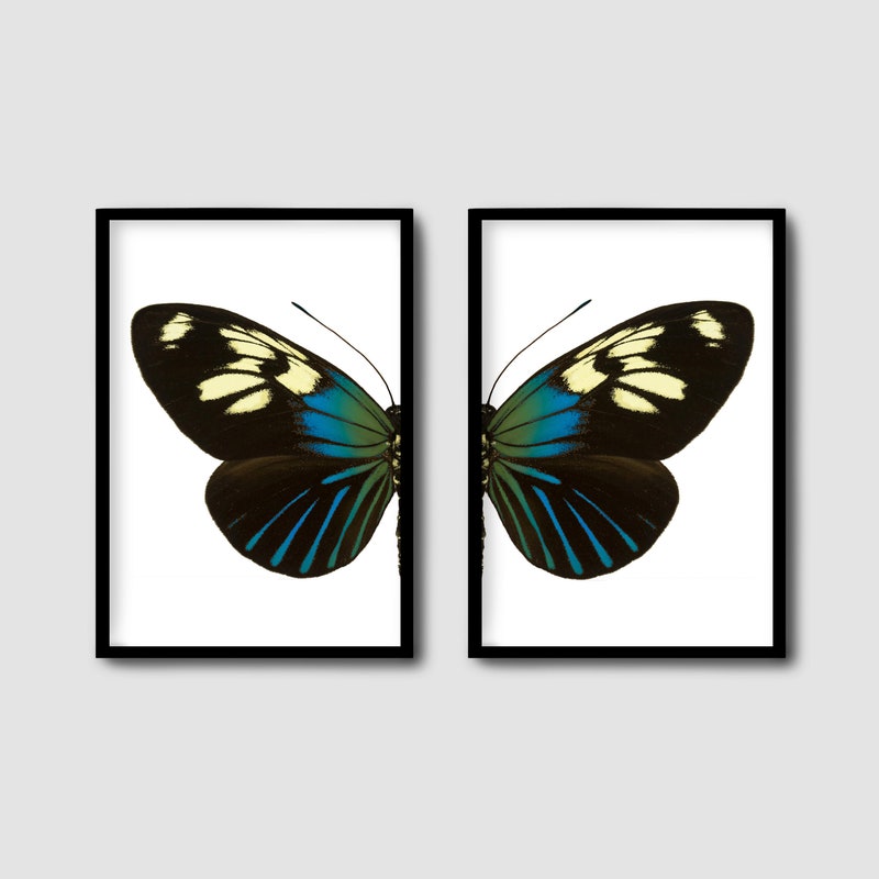 Diptych Art - Etsy