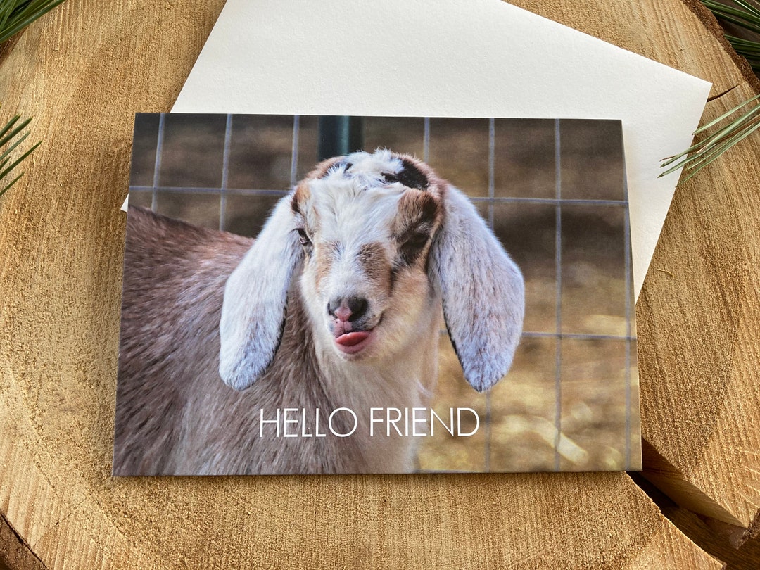 Goat Greeting Card/ - Etsy