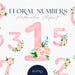 Watercolor Pink Numbers 0-9 Clipart – Hand-painted Numeric ...