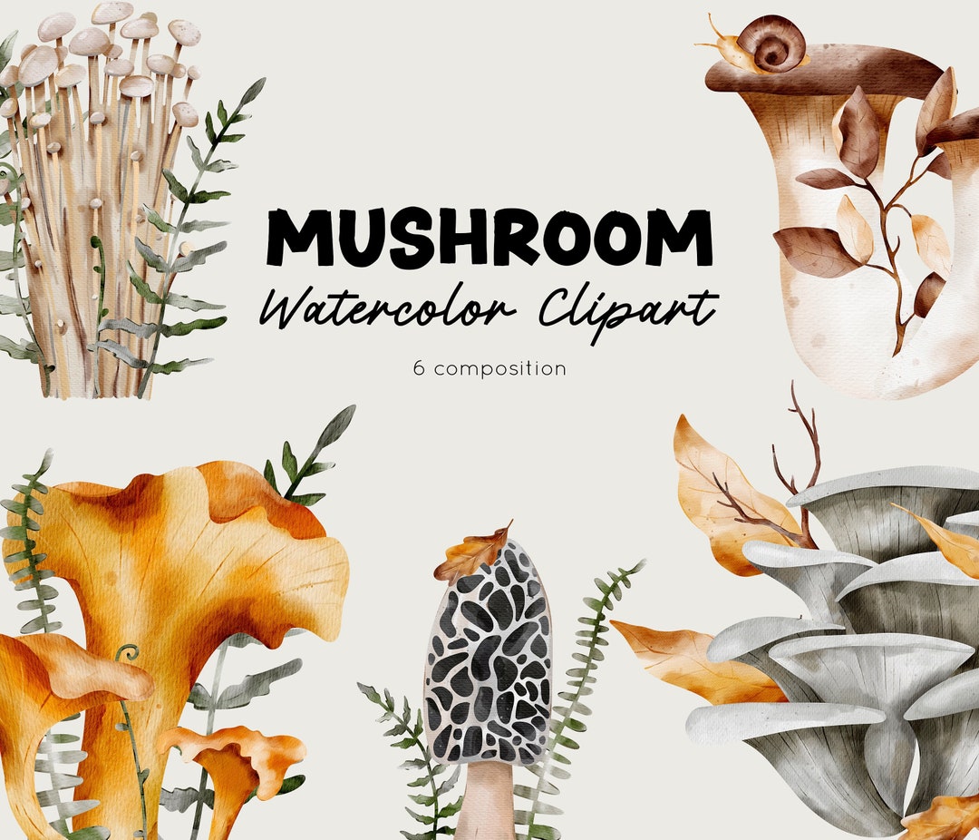 Watercolor Mushroom Clipart Png Files, Instant Download, Chanterelle ...