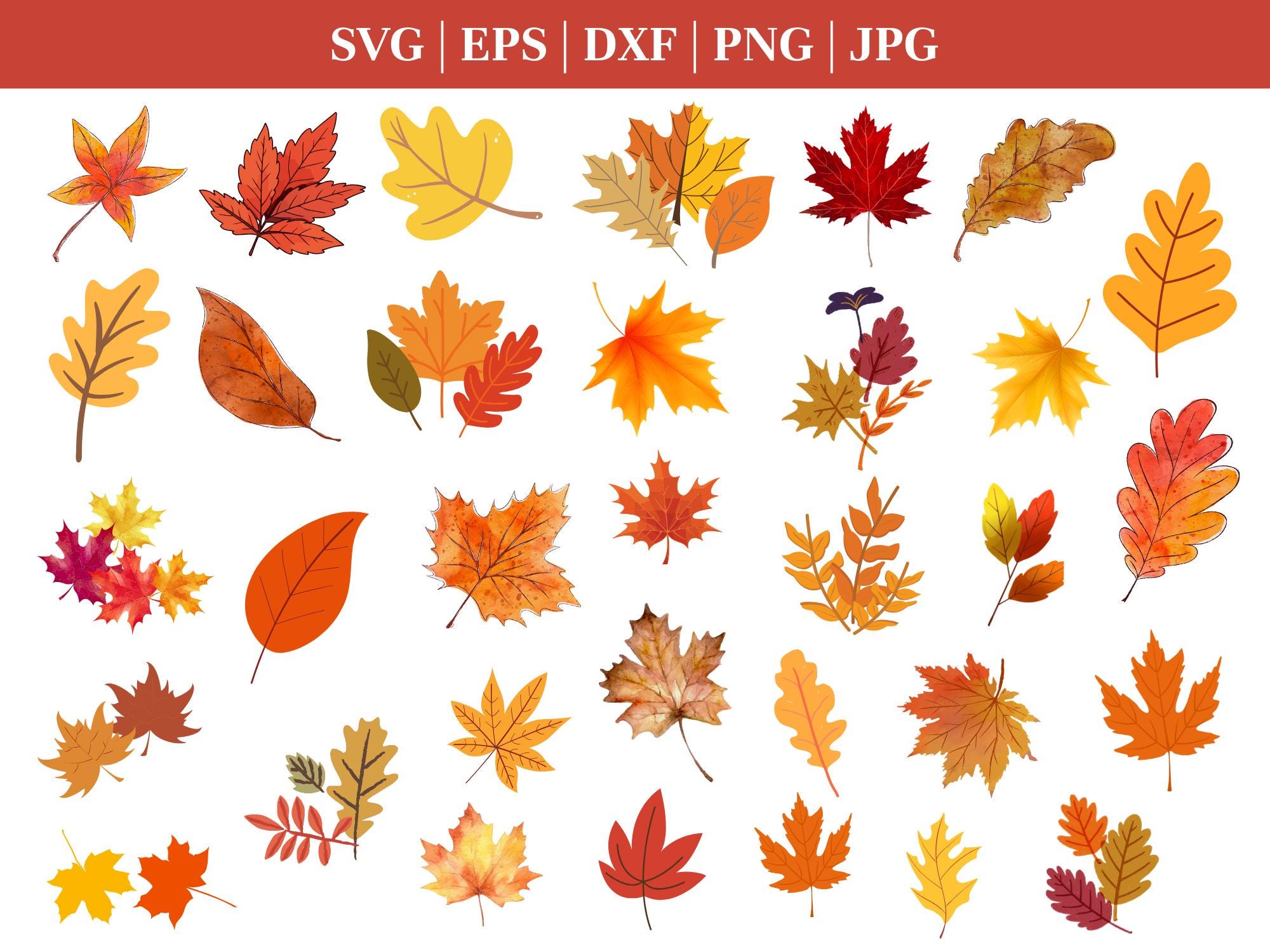Fall Leaves Svg, Fall Svg, Fall Leaf Svg Bundle, Fall Png, Dxf, Clipart ...
