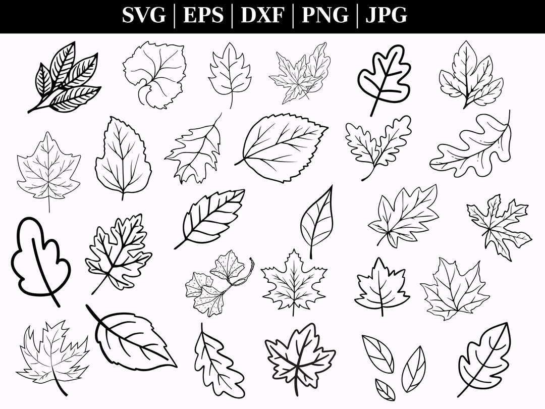 Fall Leaves Svg Bundle , Fall Leaves Svg, Fall Leaf Svg, Fall Leaves ...
