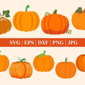 Pumpkin SVG Bundle - Fall SVG - Pumpkin PNG - Pumpkin Clipart ...