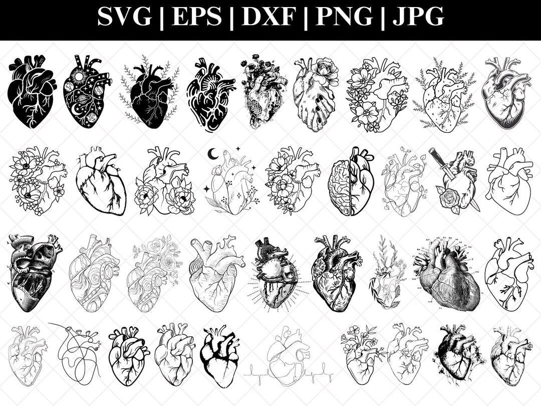 Anatomical Heart Svg Bundle, Flower Heart Svg, Nurse Life, Human Heart ...