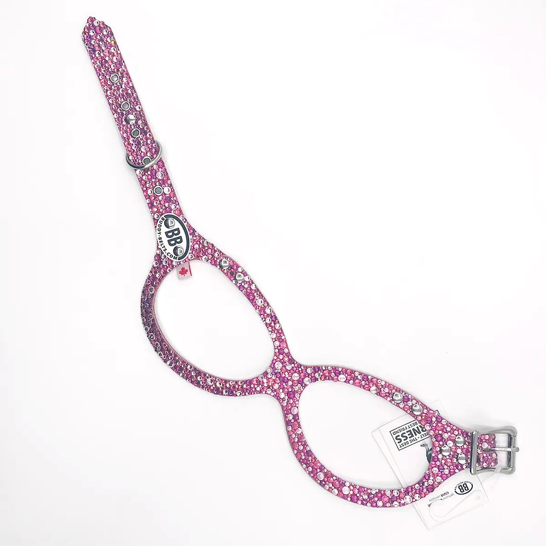 Blinged Out Glass Rhinestone Dog Harness - Size 5 - One of A Kind - Etsy