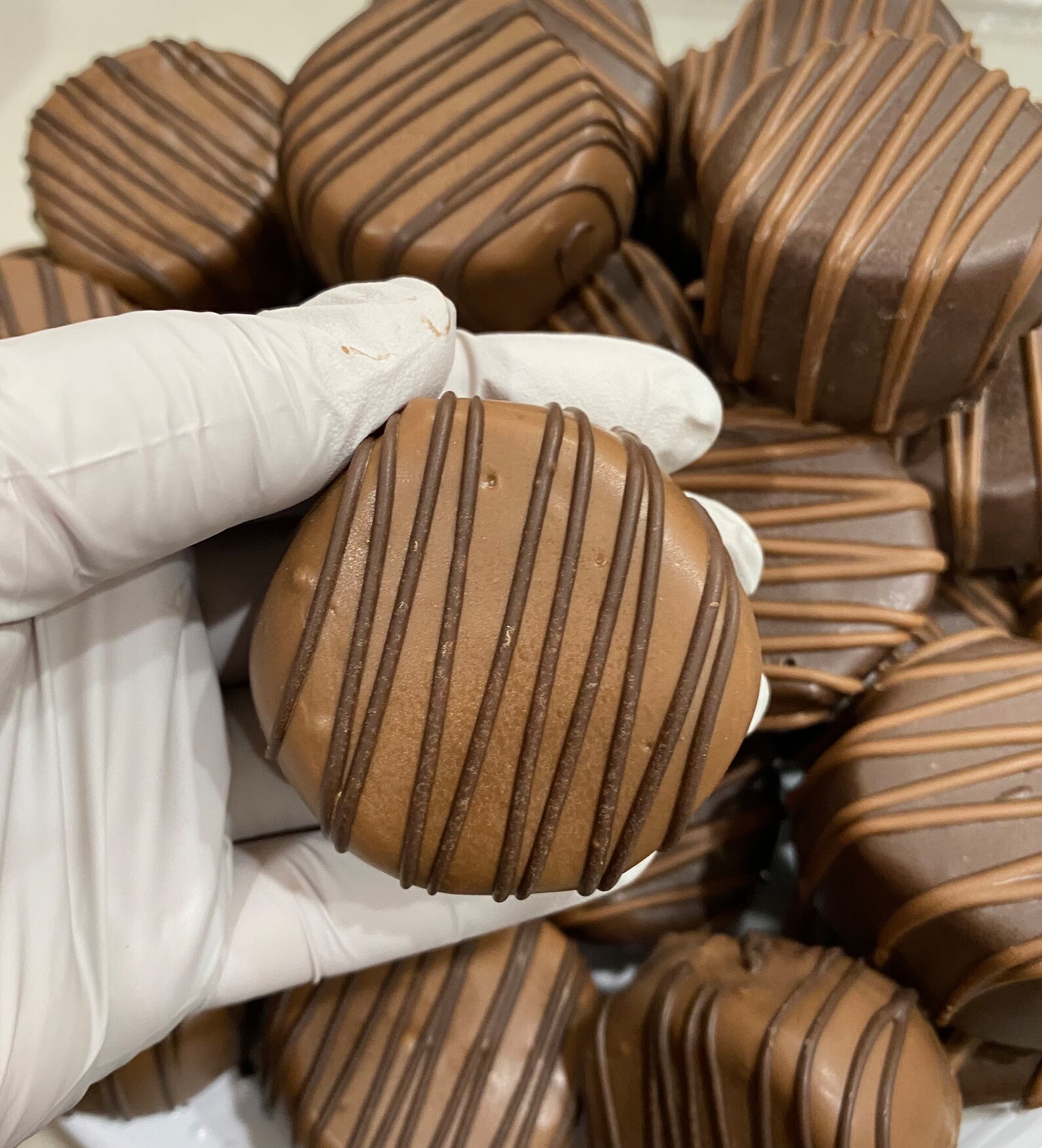 1 Pound Box of Jumbo Marshmallows! Choose Milk, Dark or White Chocolate ...