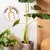 Stakes / Plant Supports 2 Sizes / Wavy Wiggly Plant Stakes - Etsy