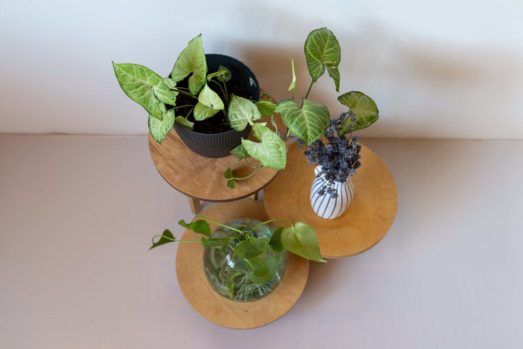 Plant Stand 3 Sizes / Plant Stand 3 Heights 30cm Base / Plant Riser ...