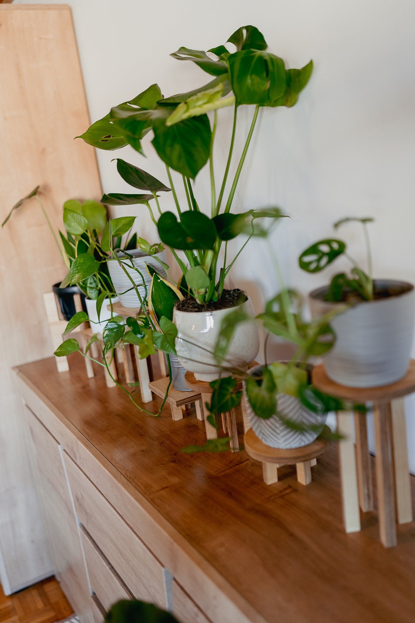 Wooden Flower Stand / Plant Stand / Plant Riser 25x16cm - Etsy