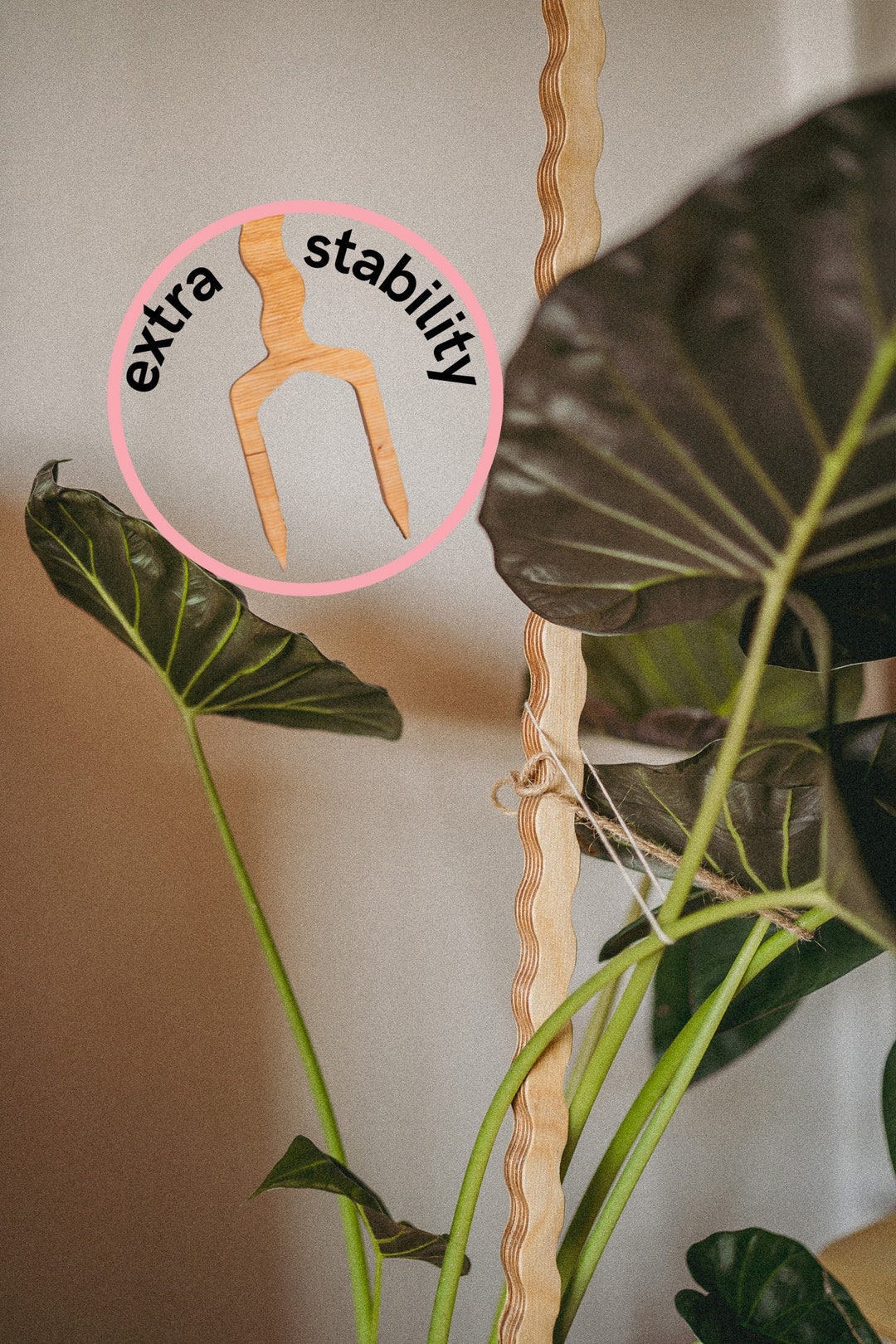 Wavy Plant Pole 100cm + Stability Fork / Wiggly Pole Support for Indoor ...