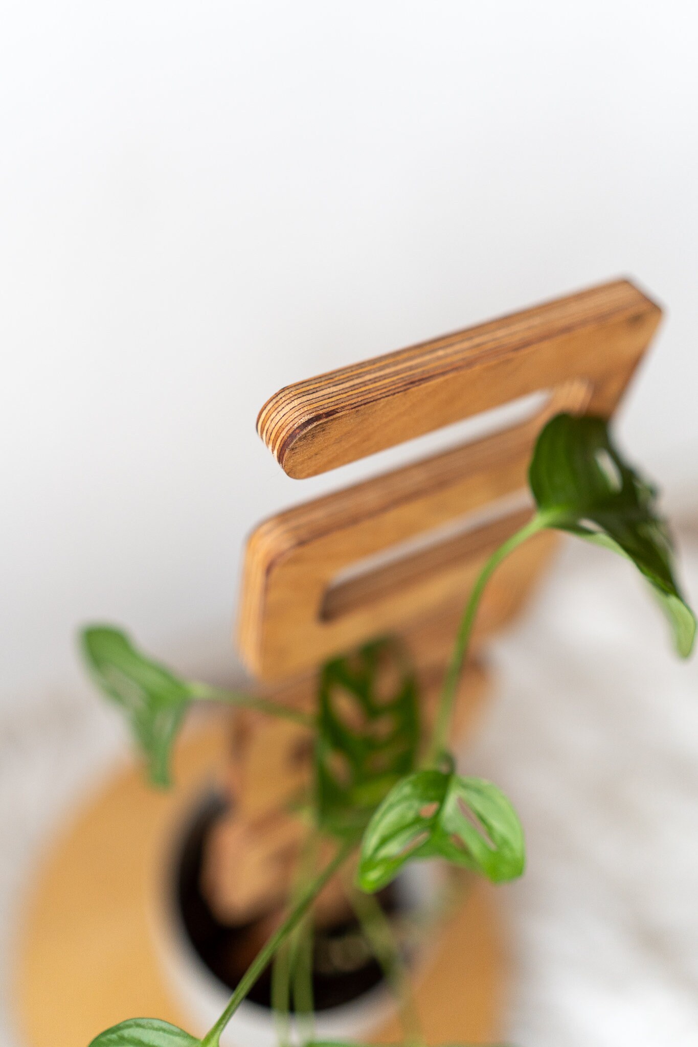 Plant Stake WONSZ 40cm Pole / Plant Support / Climbing Trellis - Etsy