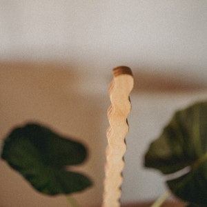 Wavy Plant Pole 100cm + Stability Fork / Wiggly Pole Support for Indoor ...