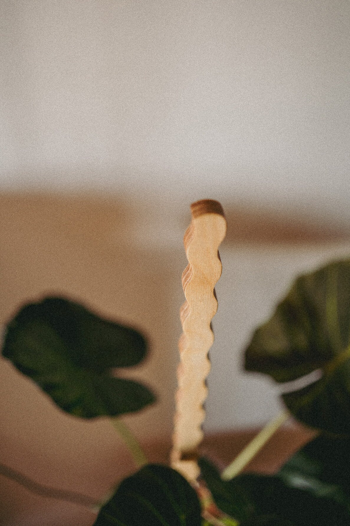 Wavy Plant Pole 100cm + Stability Fork / Wiggly Pole Support for Indoor ...