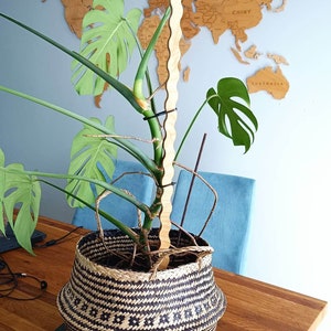Stakes / Plant Supports 2 Sizes / Wavy Wiggly Plant Stakes - Etsy