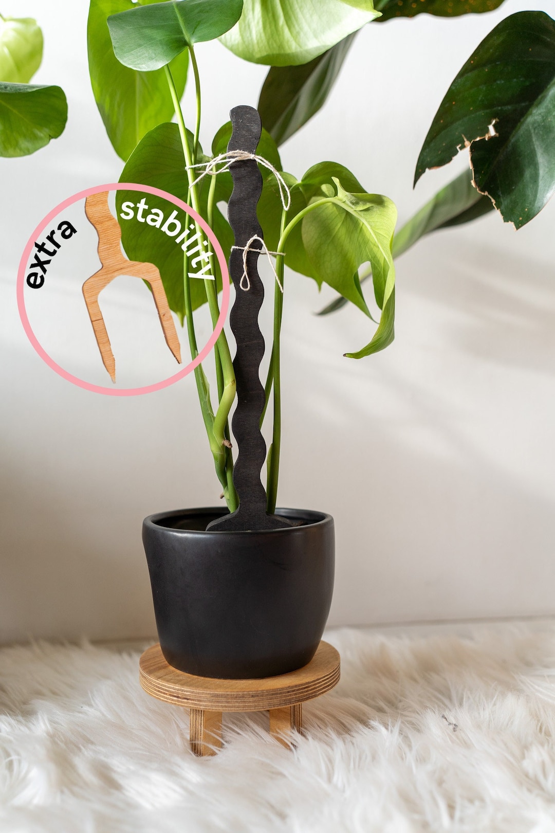 Plant Poles / Plant Supports 2 Sizes Black / Wavy Wiggly Plant Support ...