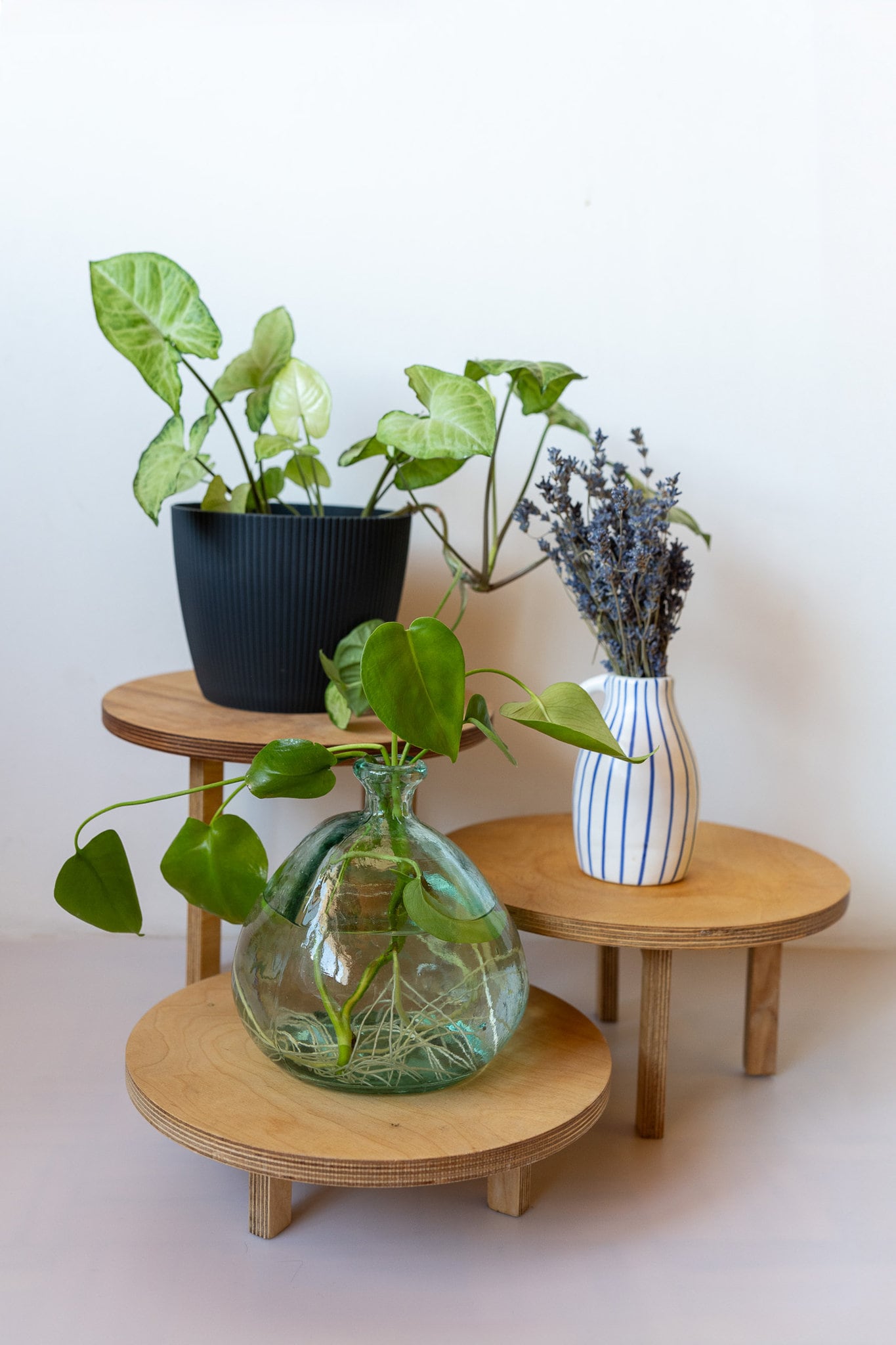 Plant Stand 3 Sizes / Plant Stand 3 Heights 30cm Base / Plant Riser ...
