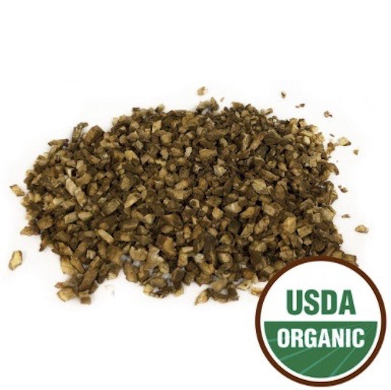 Fresh Cut Burdock Root (organic) - Etsy