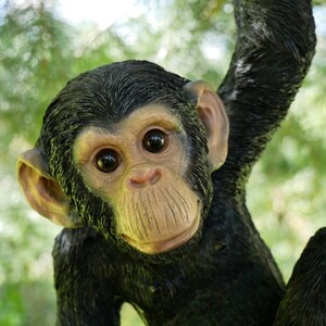 Hanging Monkey on a Rope Garden Ornament Monkey Garden Ornament Hanging ...