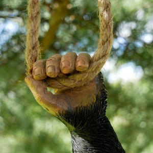 Hanging Monkey on a Rope Garden Ornament Monkey Garden Ornament Hanging ...