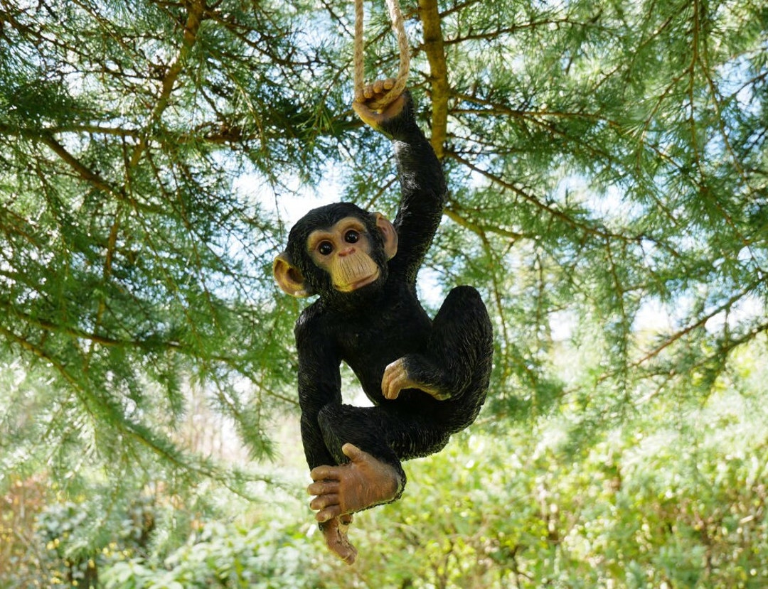 Hanging Monkey on a Rope Garden Ornament Monkey Garden Ornament Hanging ...